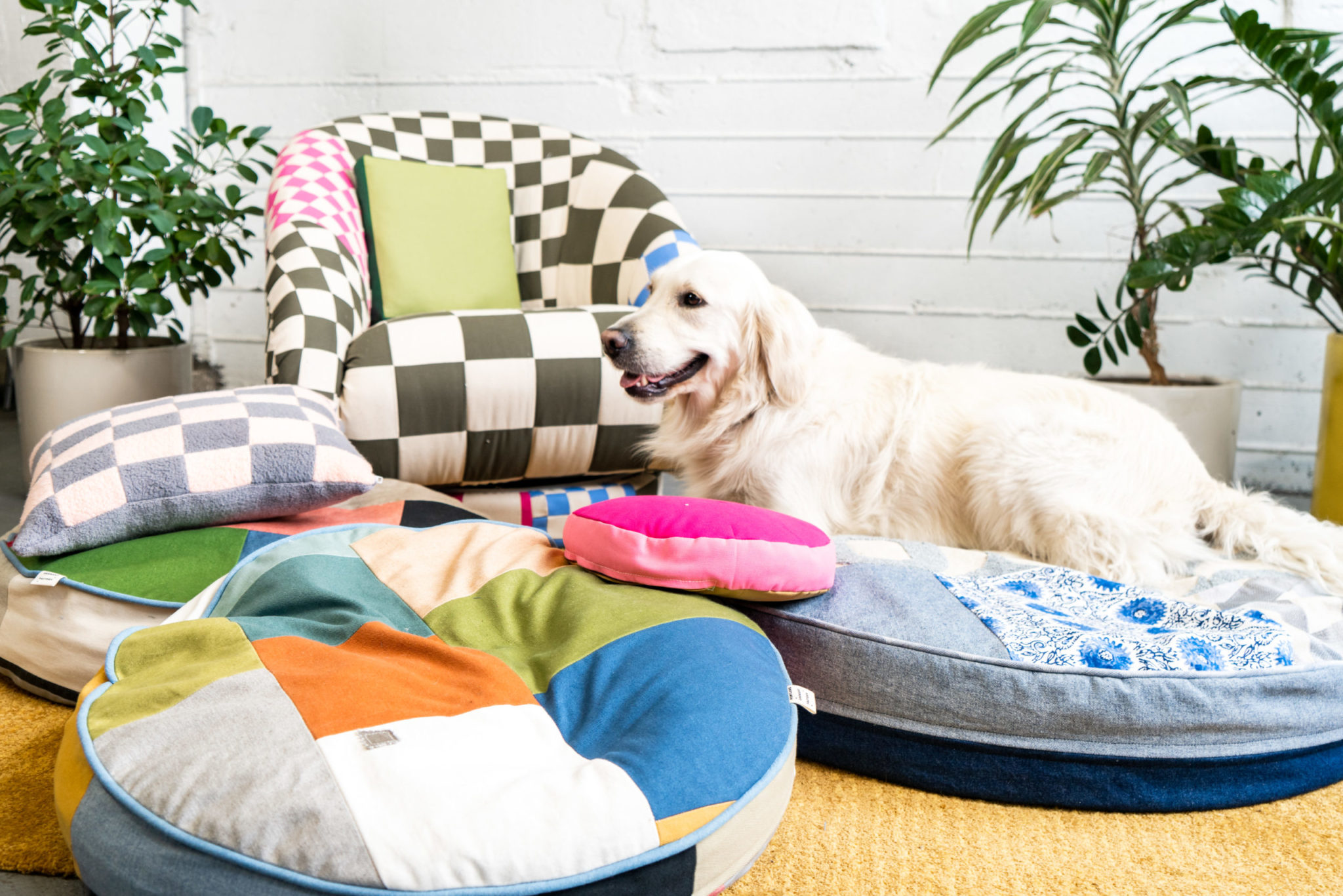 Portland Garment Factory is our 2020 Innovator of the Year - ApparelMagic